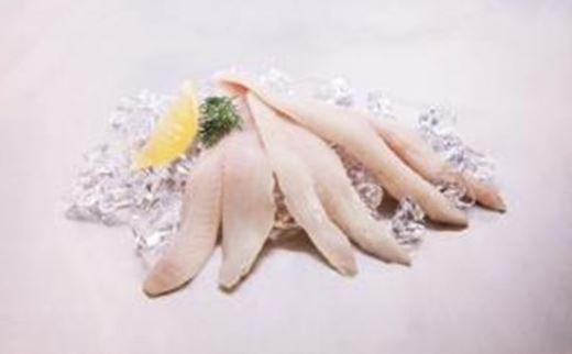 FLATHEAD FILLET PBO V CUT 2/5 OZ 5KG (1) - Fish Fillets - Western Food ...